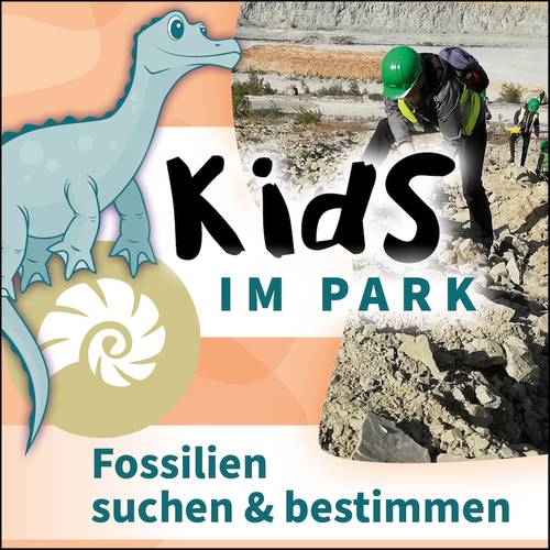Kids im Park: Fossilien suchen & bestimmen | 30/07/2026, 10:00 ...