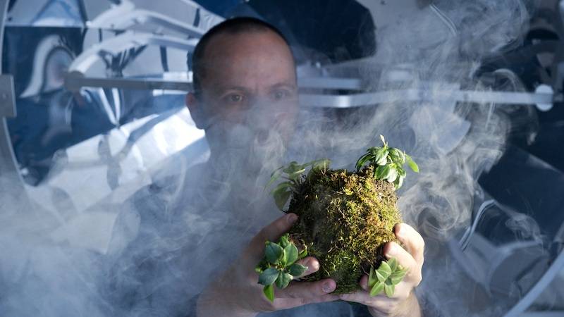 Carbon Negative | English Theatre Berlin – Berlin.de